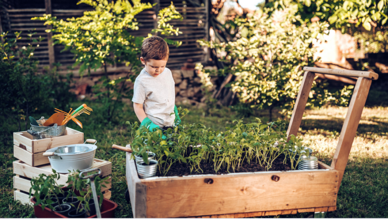 Montessori Gardening For Kids: Essential Benefits and Fun Gardening ...
