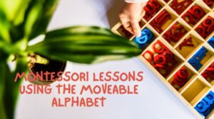 Empowering Young Minds with the Montessori Moveable Alphabet: A ...